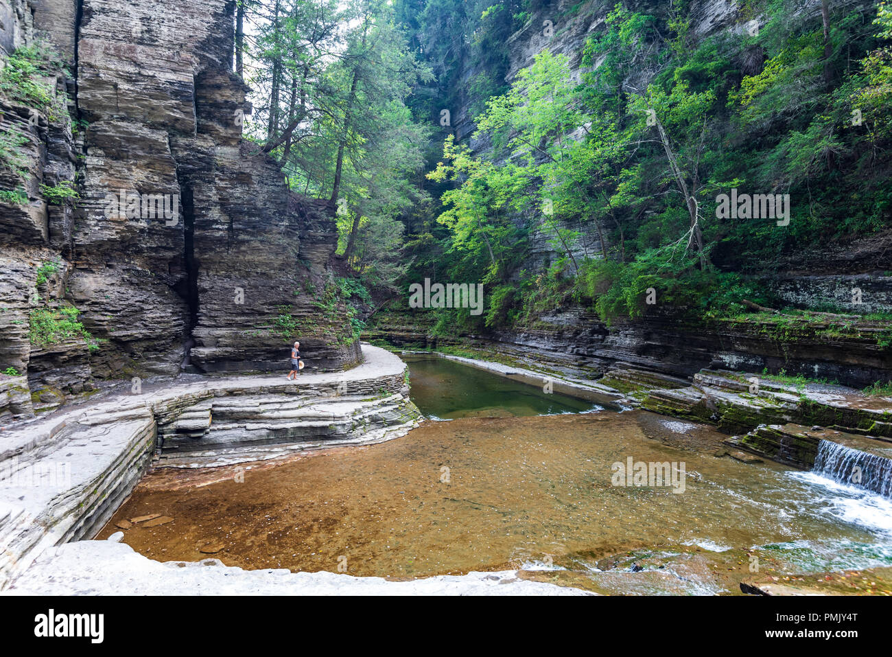 Robert H. Treman State Park: Gorge Trail Stock Photo - Alamy
