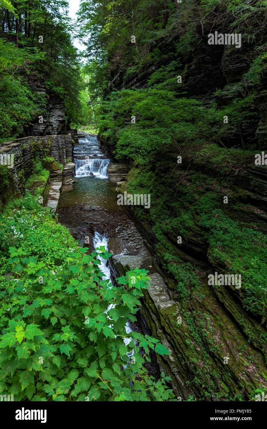 Robert H. Treman State Park: Gorge Trail Stock Photo - Alamy