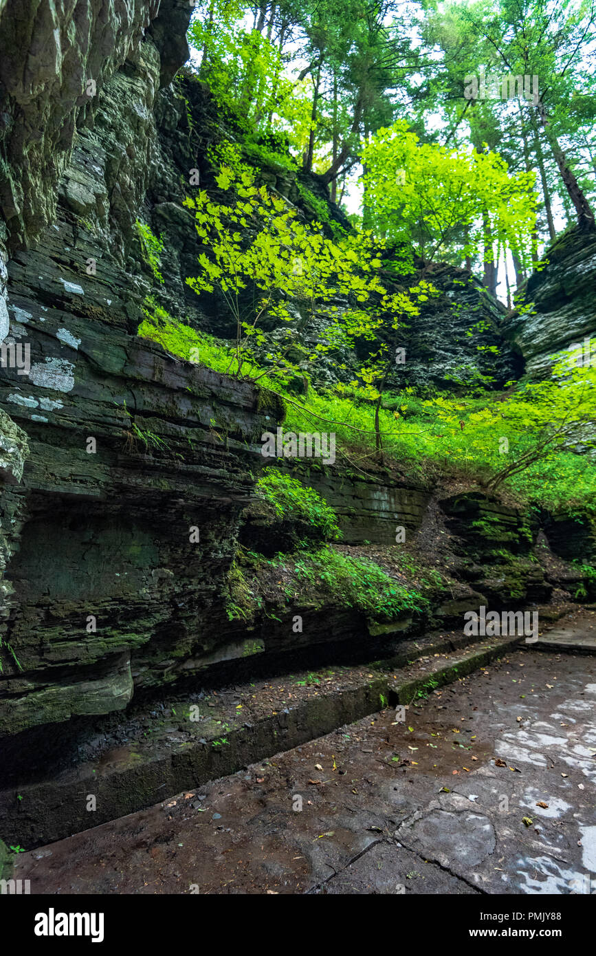 Robert H. Treman State Park: Gorge Trail Stock Photo - Alamy