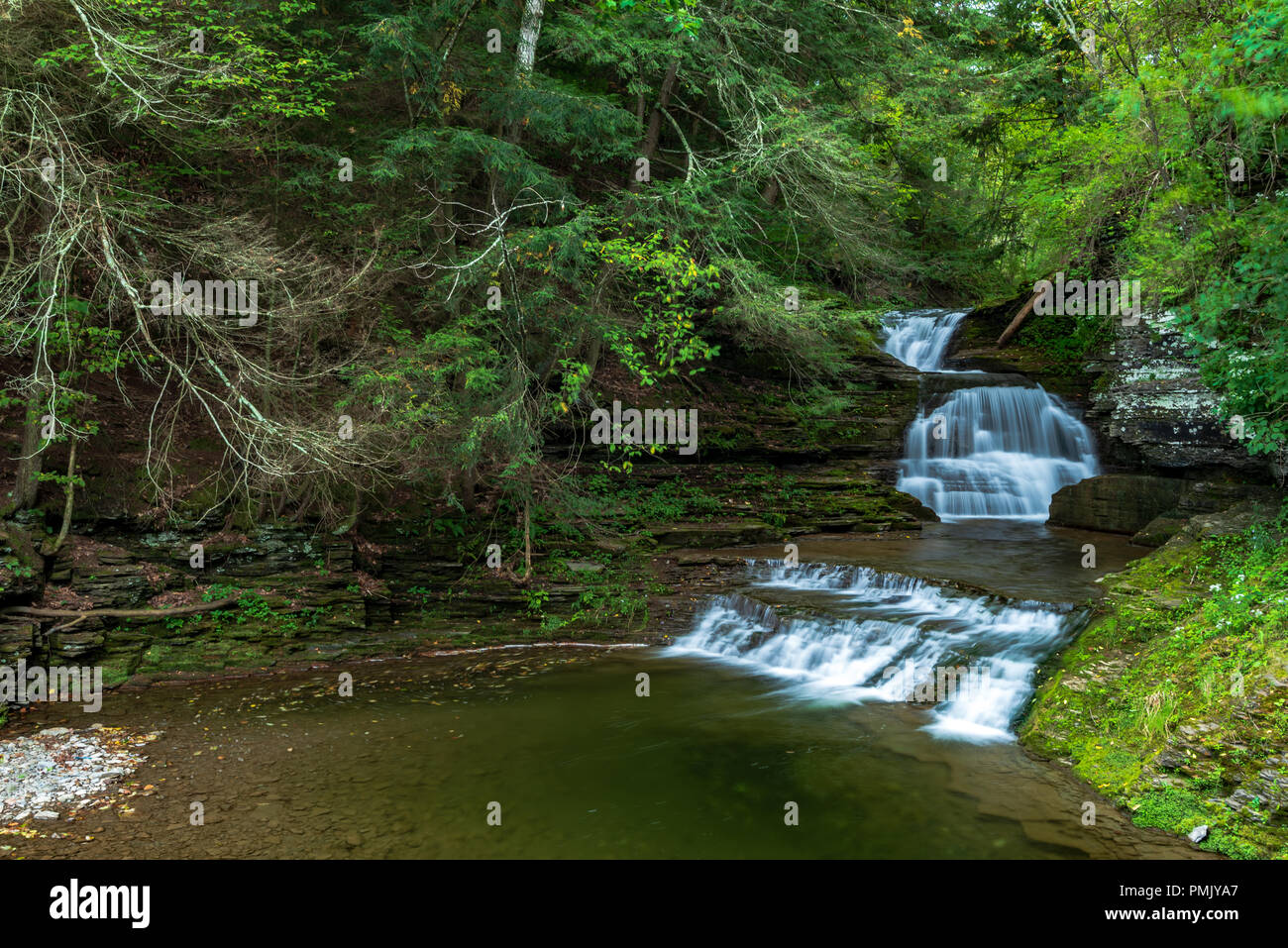 Robert H. Treman State Park: Enfield Falls Stock Photo - Alamy