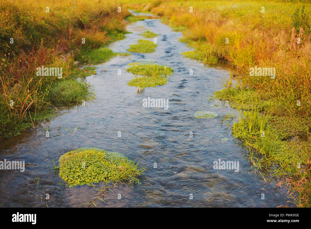 Summer small river hi-res stock photography and images - Alamy