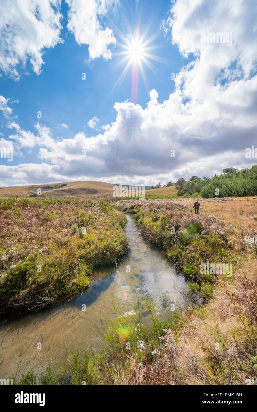 Pungwe river nyanga national park zimbabwe hi-res stock photography and ...