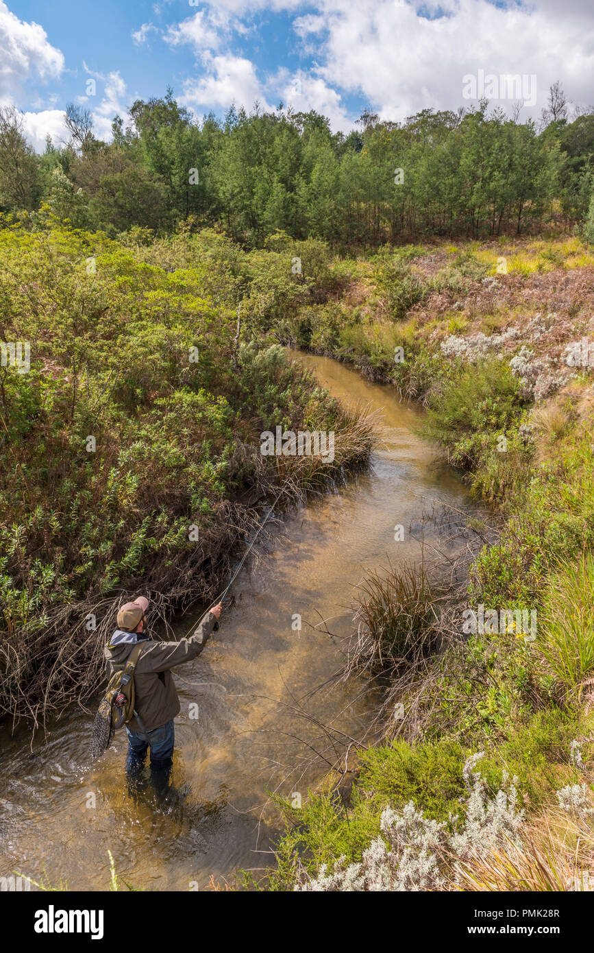 Nyanga national park hi-res stock photography and images - Alamy