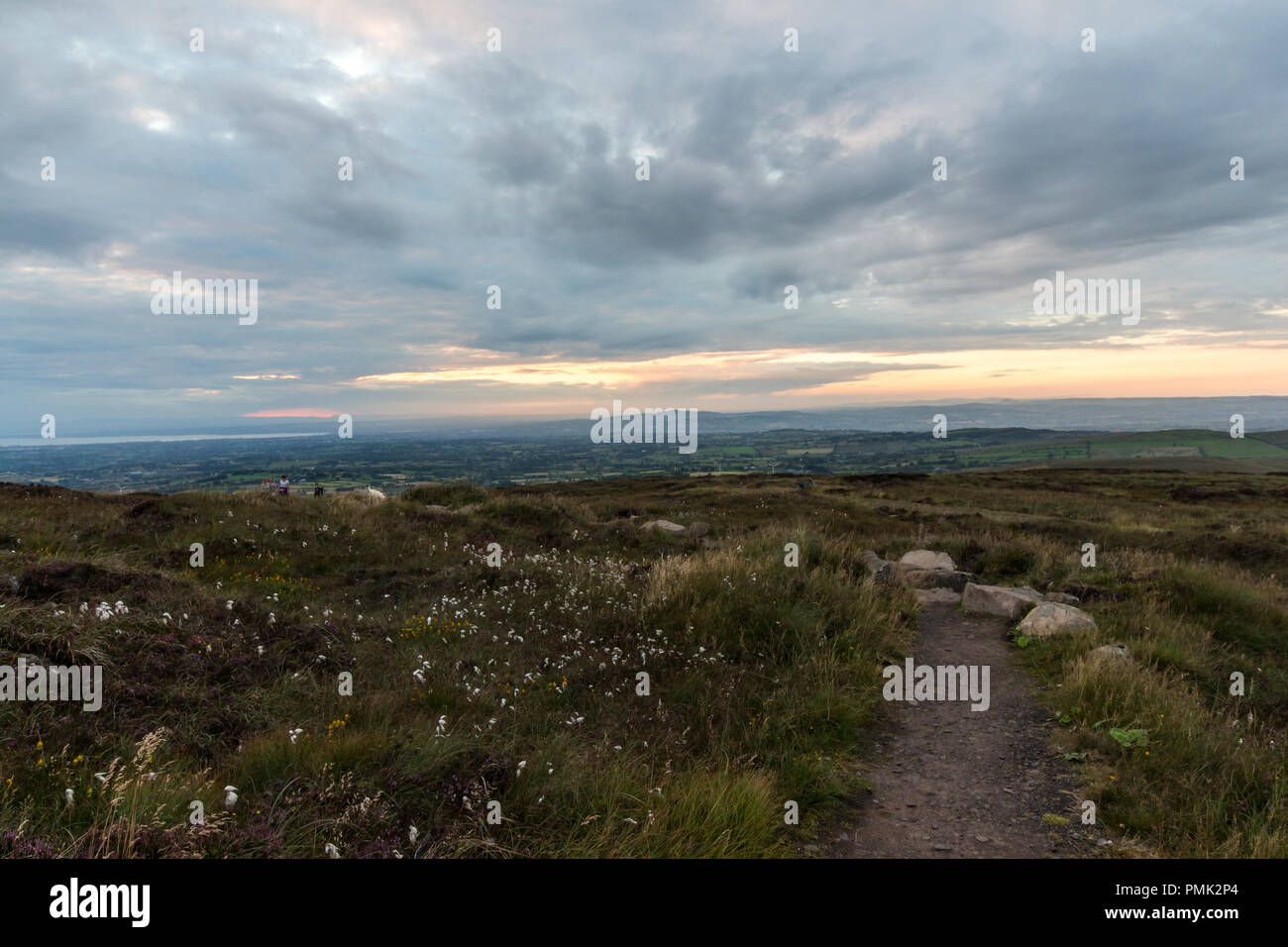 Summer evening walking up Divis Mountain in Belfast hills Stock Photo ...