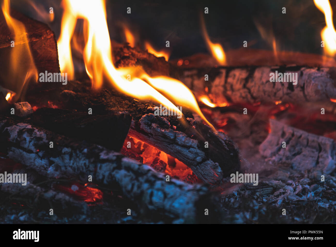 Charred wood in the fire. Burning wood in bright flames in the dark ...