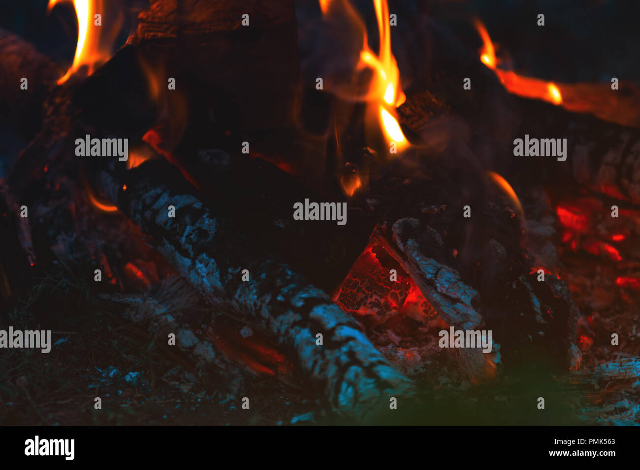 Charred wood in the fire. Burning wood in bright flames in the dark ...