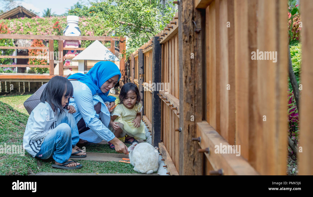 Young Muslim mother and her daughters play with rabbit Stock Photo - Alamy