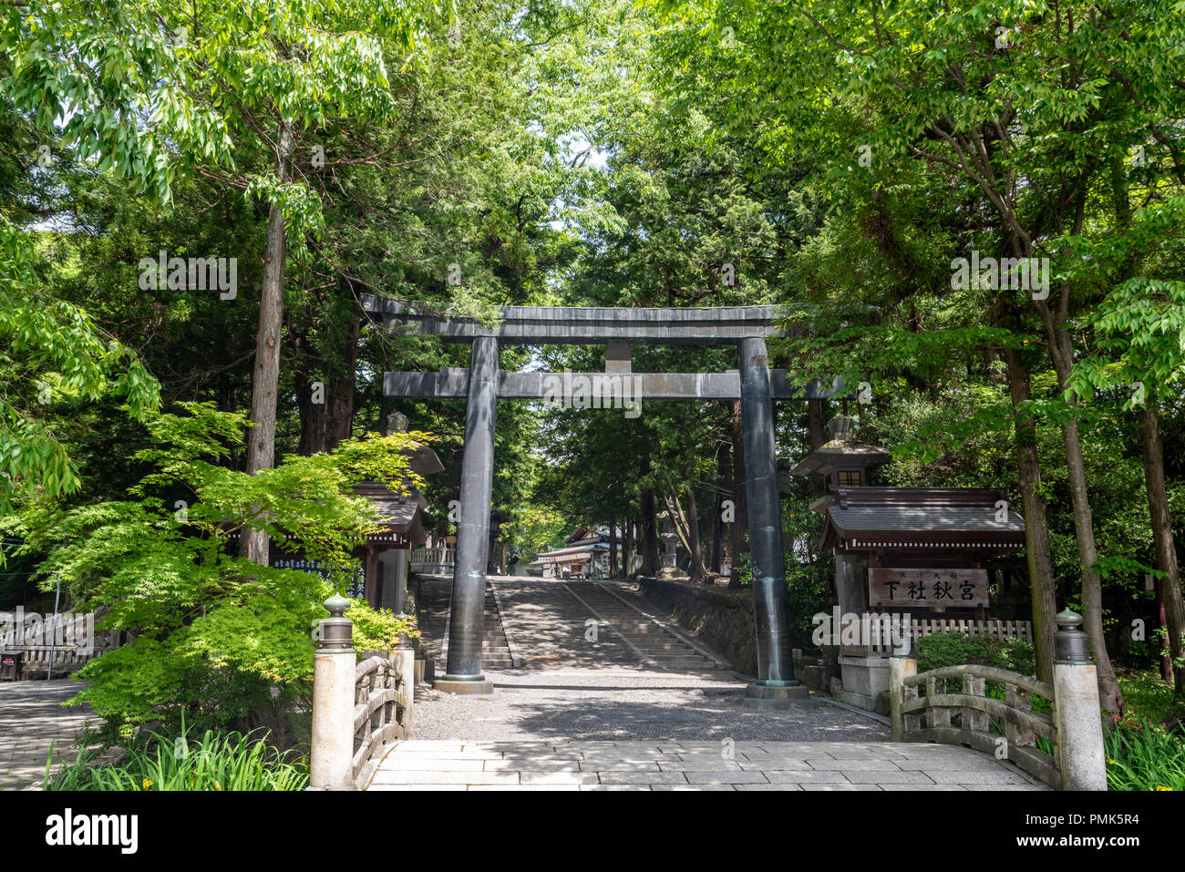 Japanese torii gate and green bamboo hi-res stock photography and ...