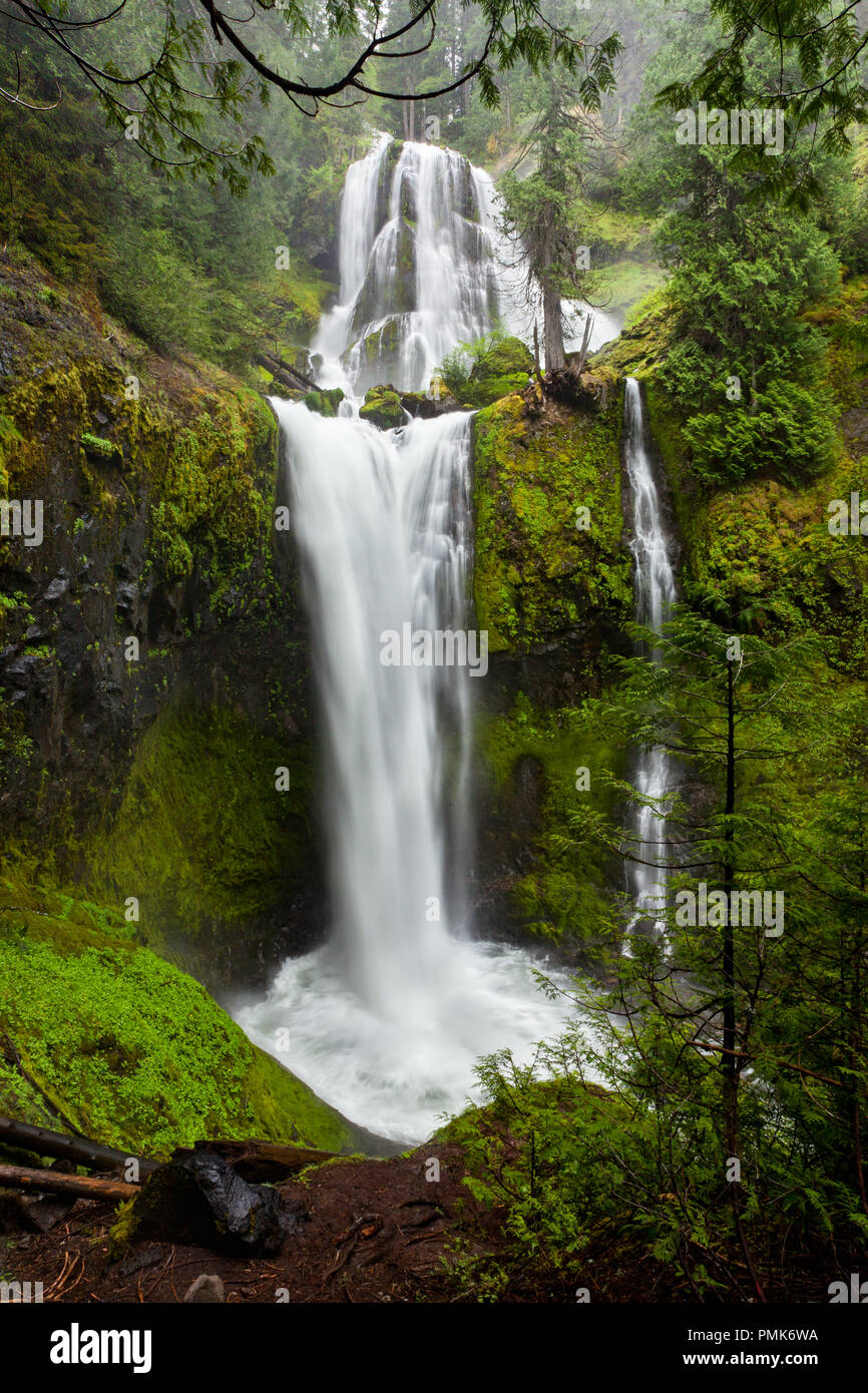 Gifford pinchot state park hi-res stock photography and images - Alamy
