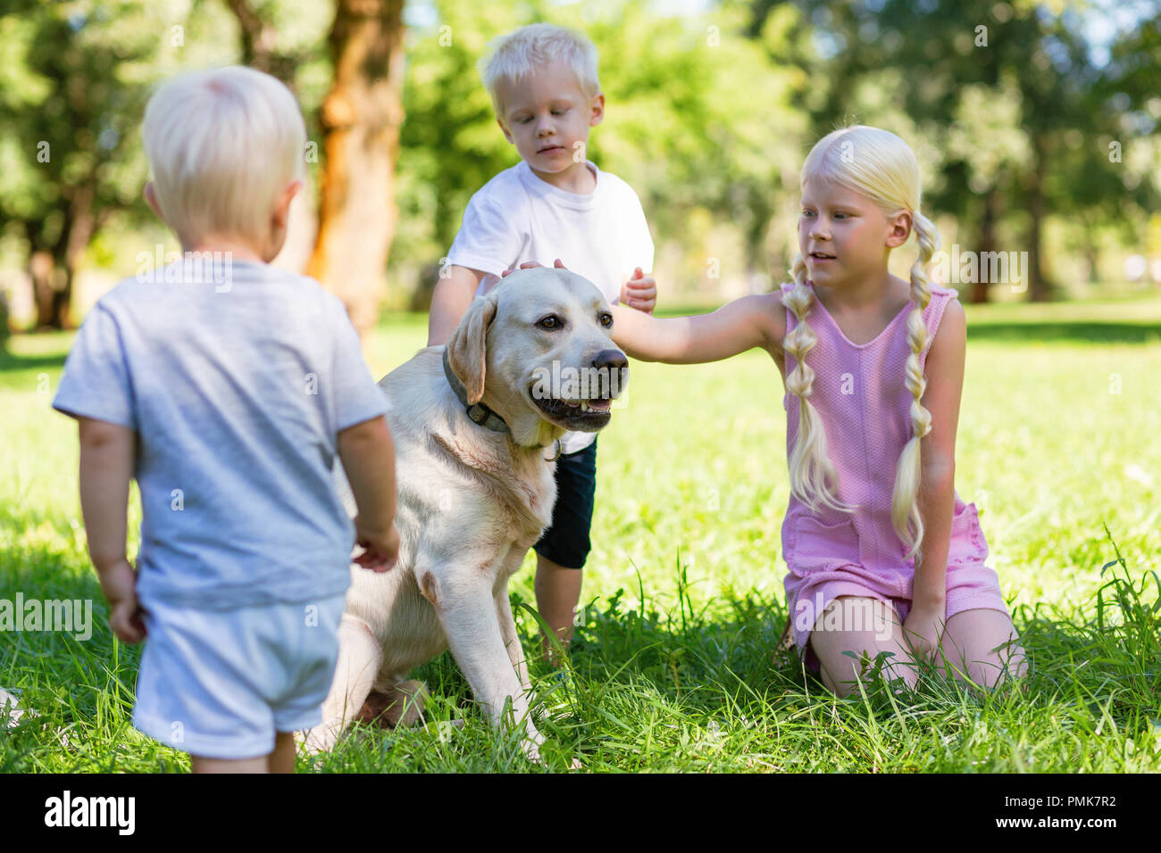 Kids and dog in nature hi-res stock photography and images - Alamy