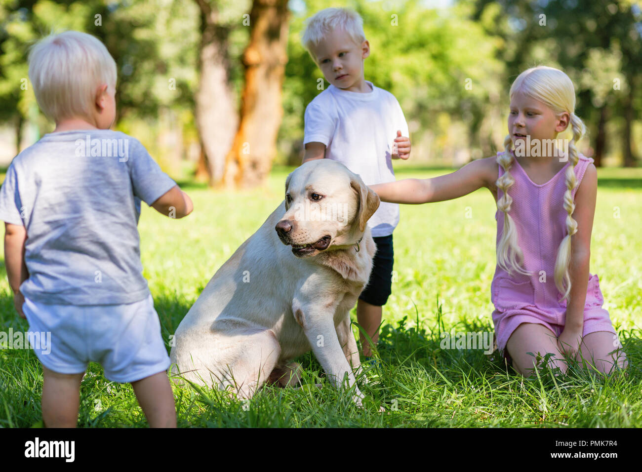 Company of kids playing with a dog in the park Stock Photo - Alamy