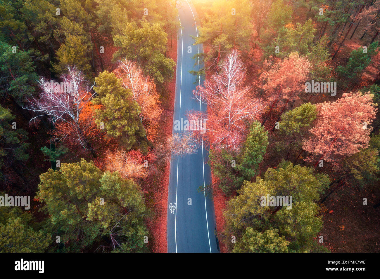 Aerial view of road in beautiful autumn forest at sunset. Beautiful ...