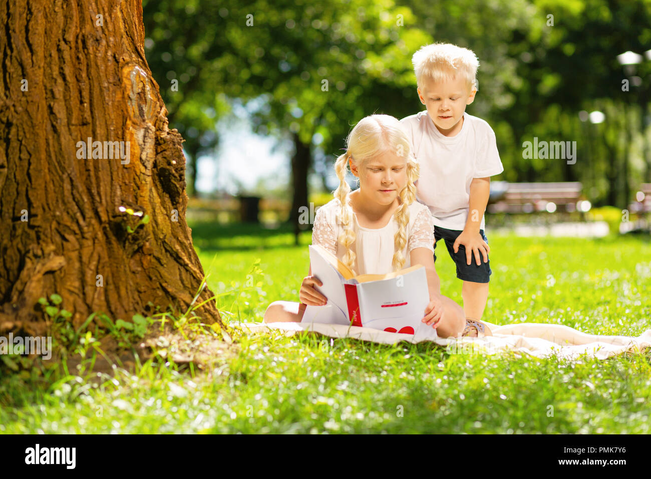 Attentive brother and sister reading a book together Stock Photo - Alamy