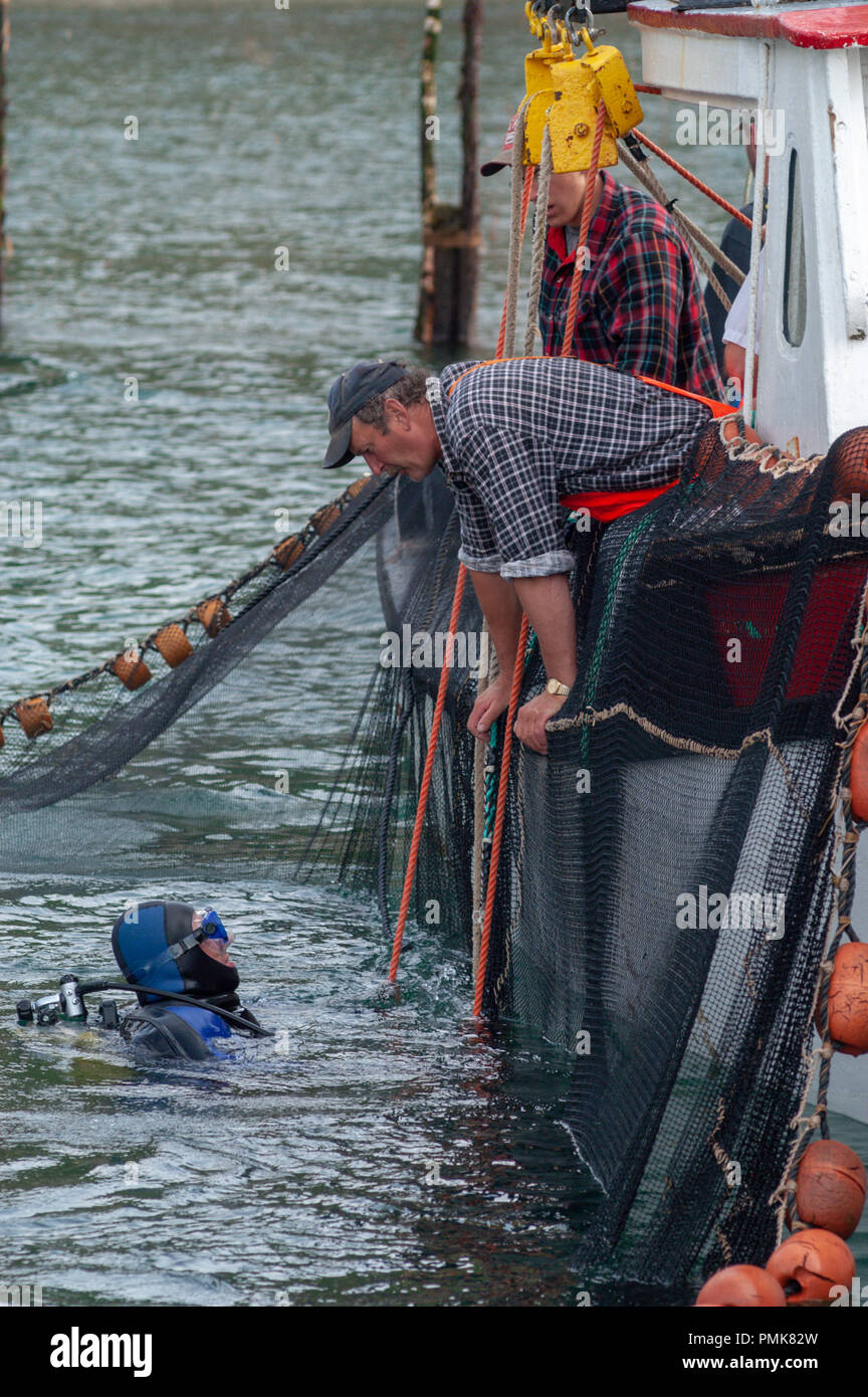 Fishing weir indigenous hi-res stock photography and images - Alamy