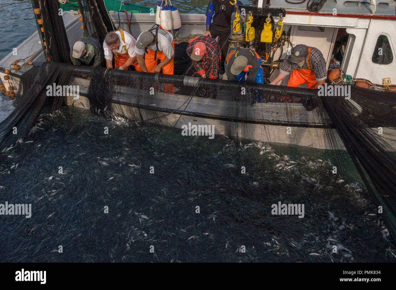 Seining a weir hi-res stock photography and images - Alamy Seining a weir hi-res stock photography and images - Alamy