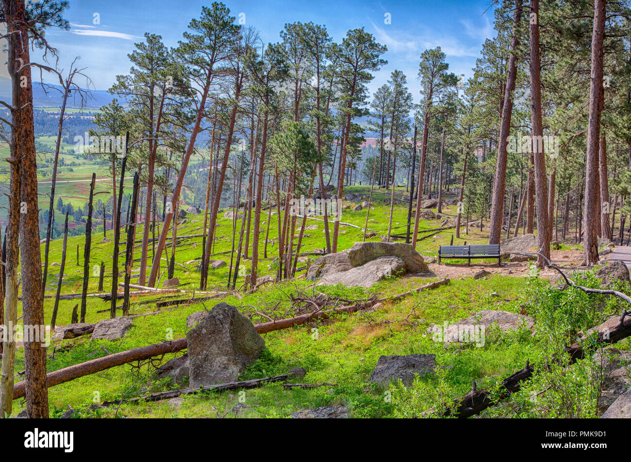 A view of Devil's Tower National Monument in Northeast Wyoming. The ...