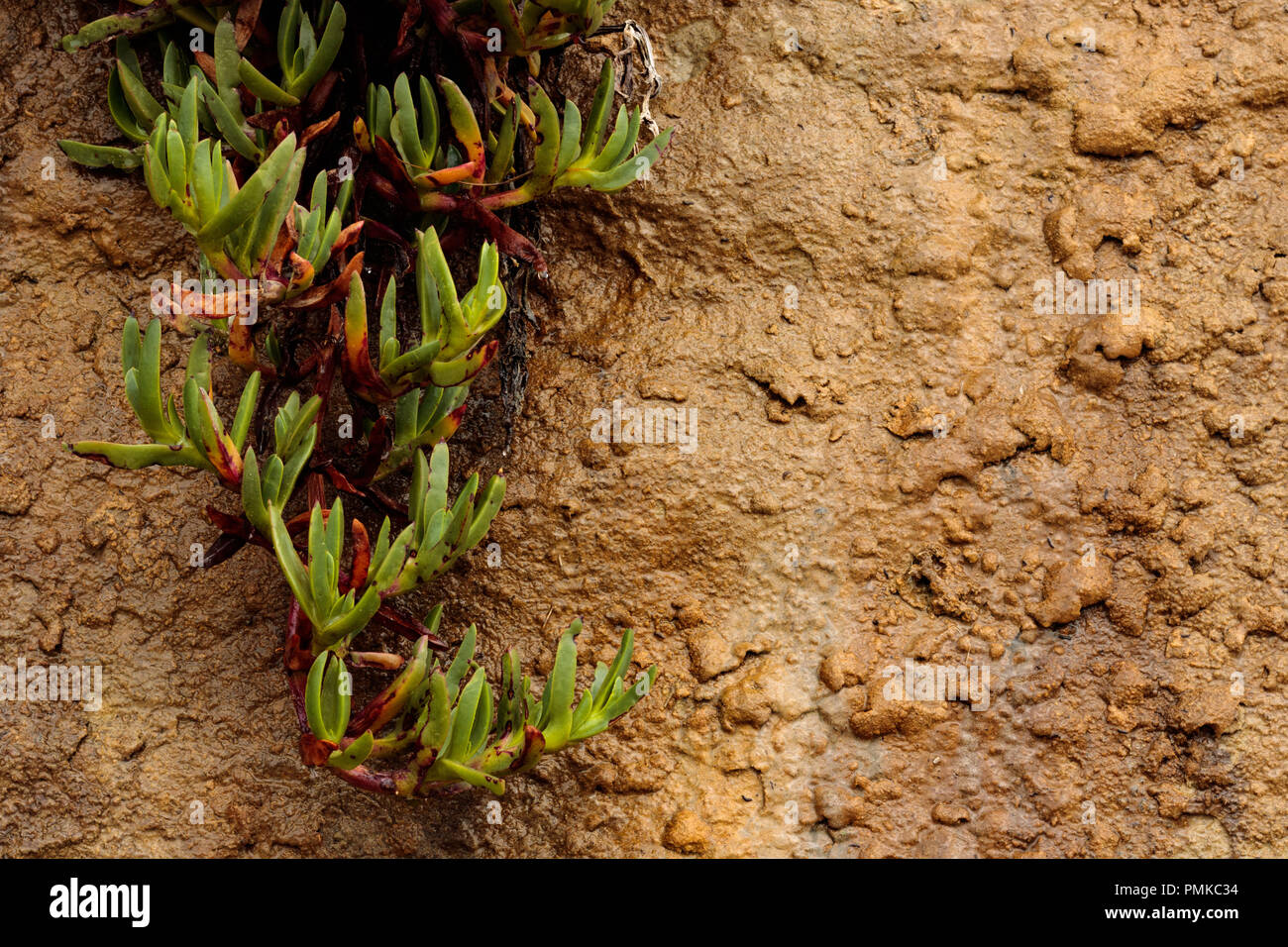 Wet sandstone hi-res stock photography and images - Alamy