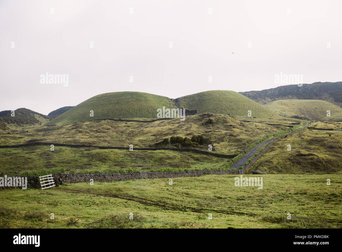 A deserted country lane winding through green volcanic pastures on ...