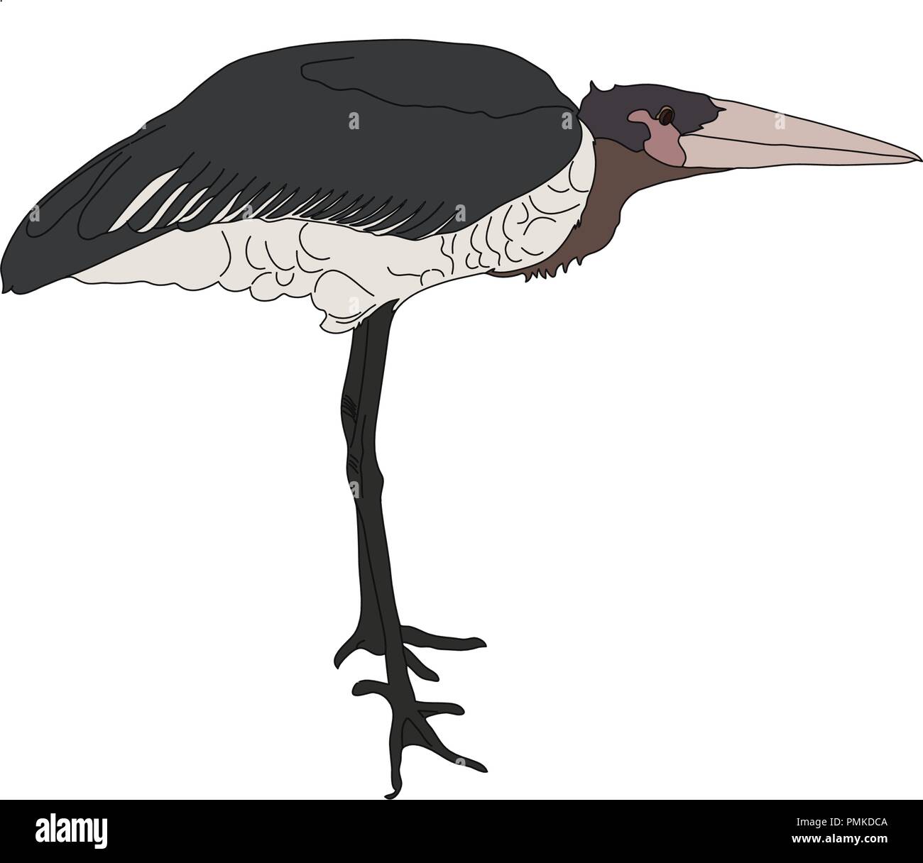 Digitally Handdrawn Illustration of a sea bird Stock Vector Image & Art ...