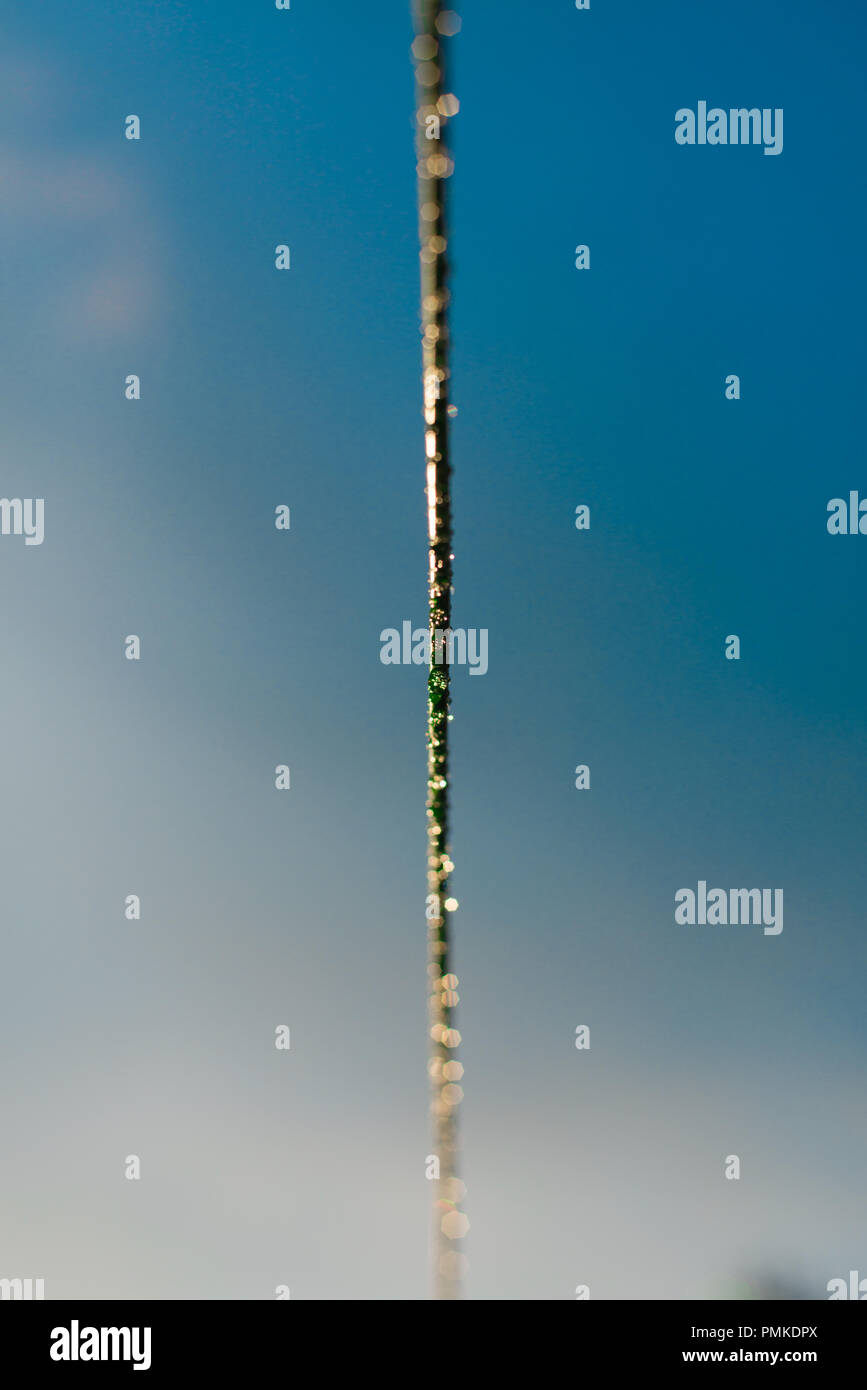Laundry Wire around Brisbane city in Queensland, Australia. Australia ...