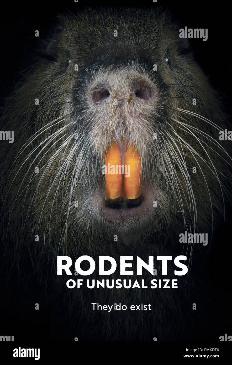RODENTS OF UNUSUAL SIZE, US poster, 2017. © Tilapia /Courtesy Everett ...