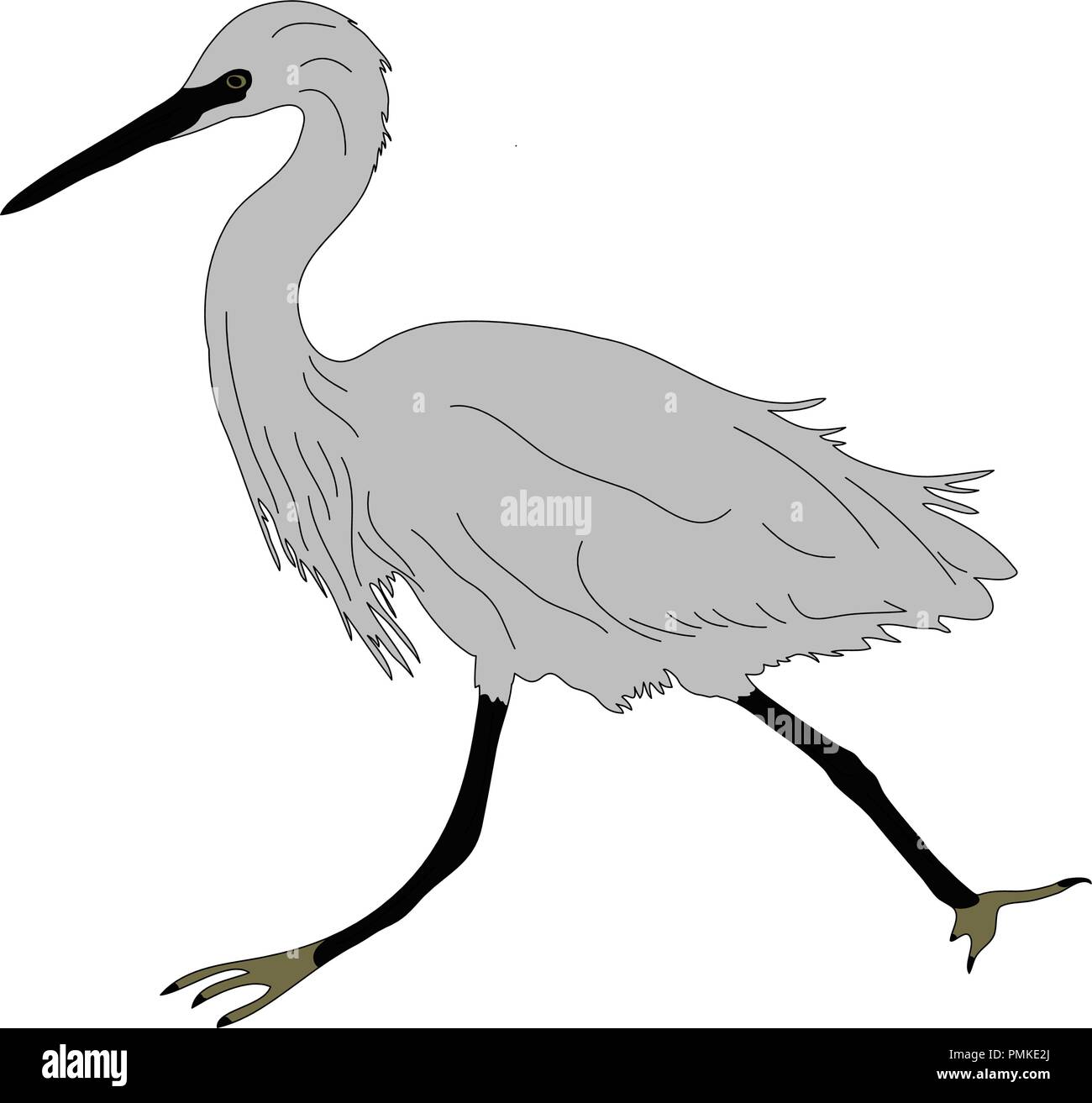 Digitally Handdrawn Illustration of a sea bird Stock Vector Image & Art ...