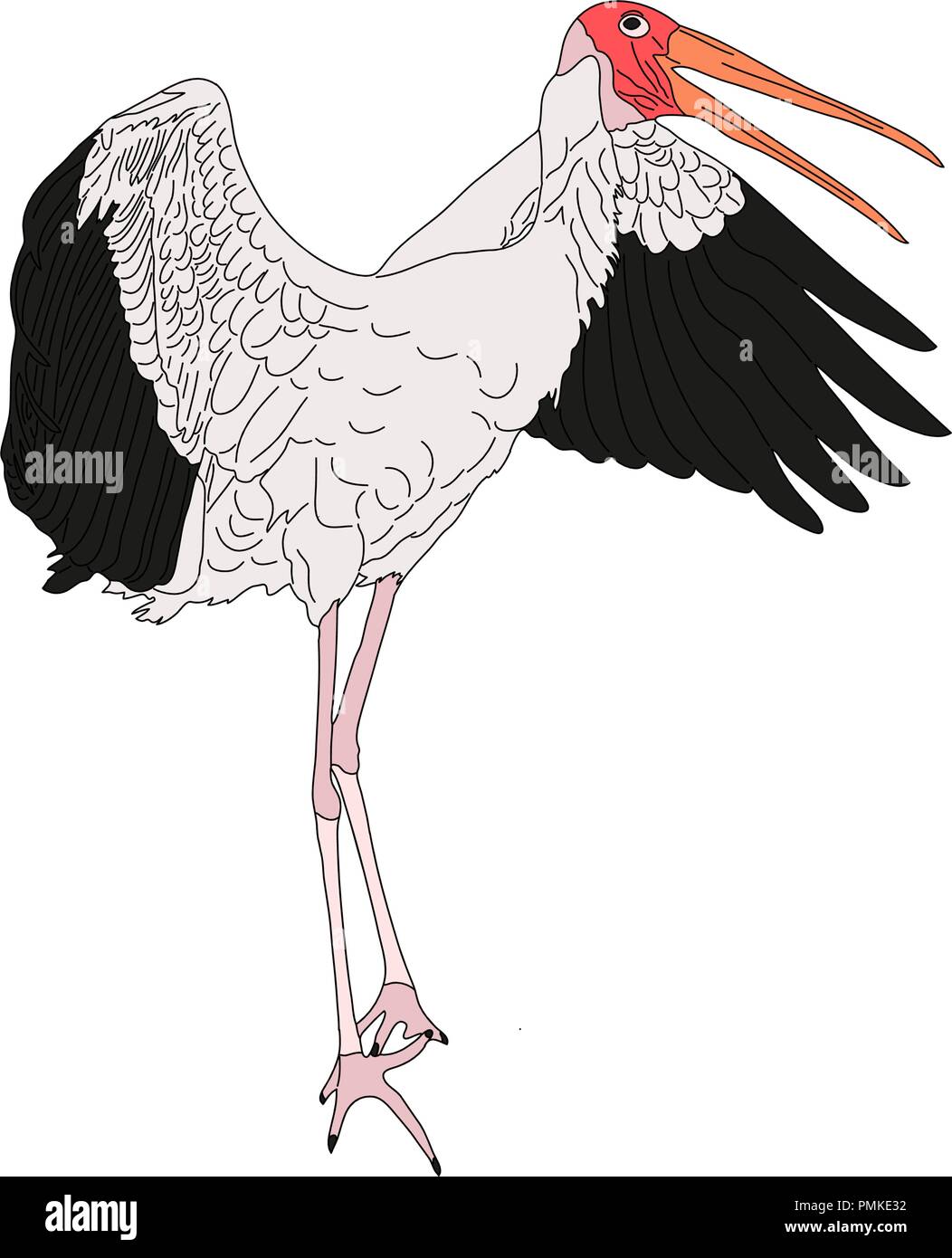 Digitally Handdrawn Illustration of a stork Stock Vector Image & Art ...