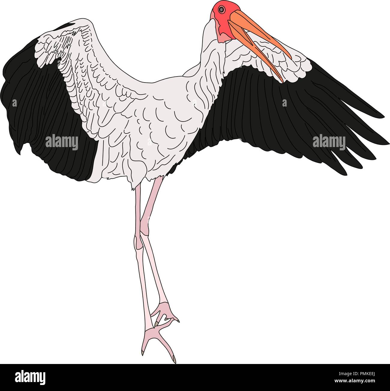 Digitally Handdrawn Illustration of a stork Stock Vector Image & Art ...