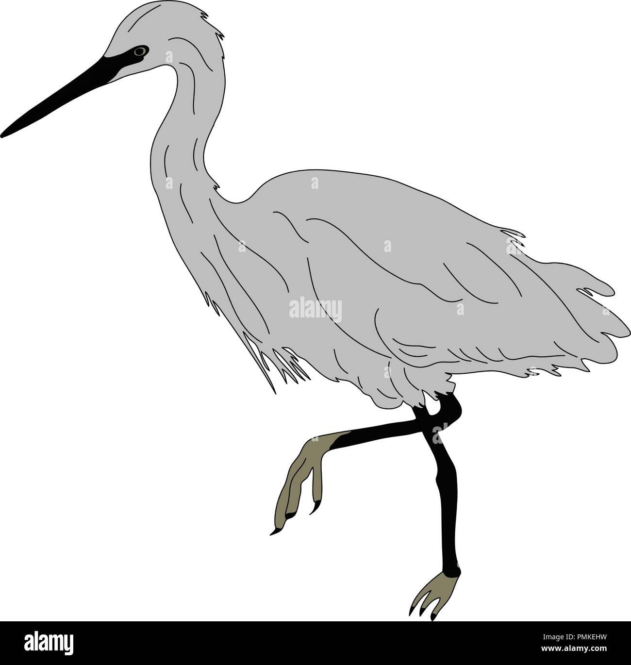 Digitally Handdrawn Illustration of a sea bird Stock Vector Image & Art ...