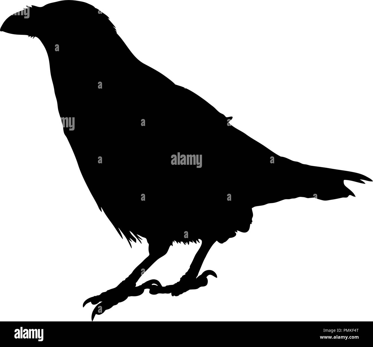 Digitally Handdrawn Silhouette of a crow Stock Vector Image & Art - Alamy