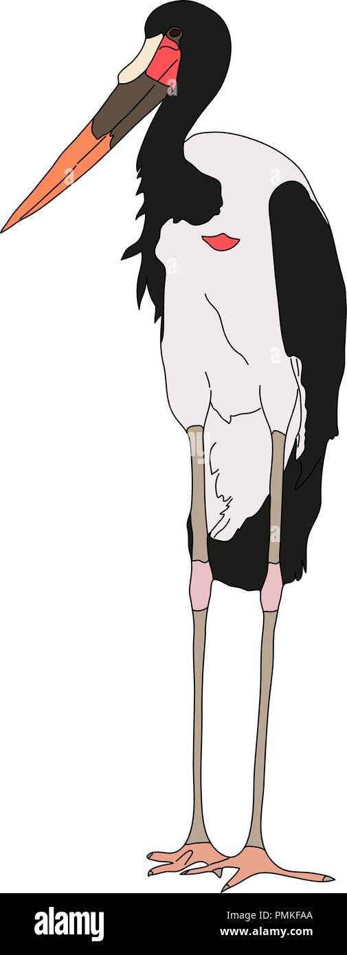 Digitally Handdrawn Illustration of a stork Stock Vector Image & Art ...