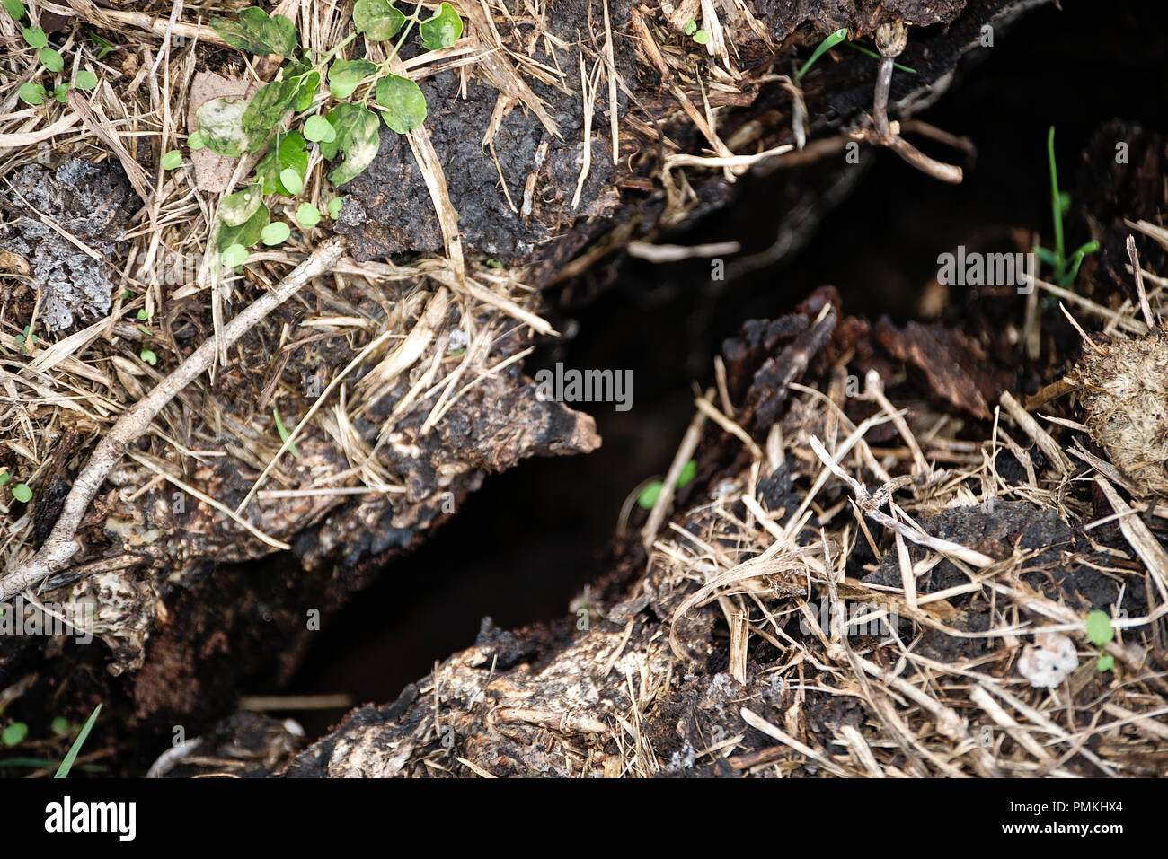 A deep crevice in the ground Stock Photo - Alamy