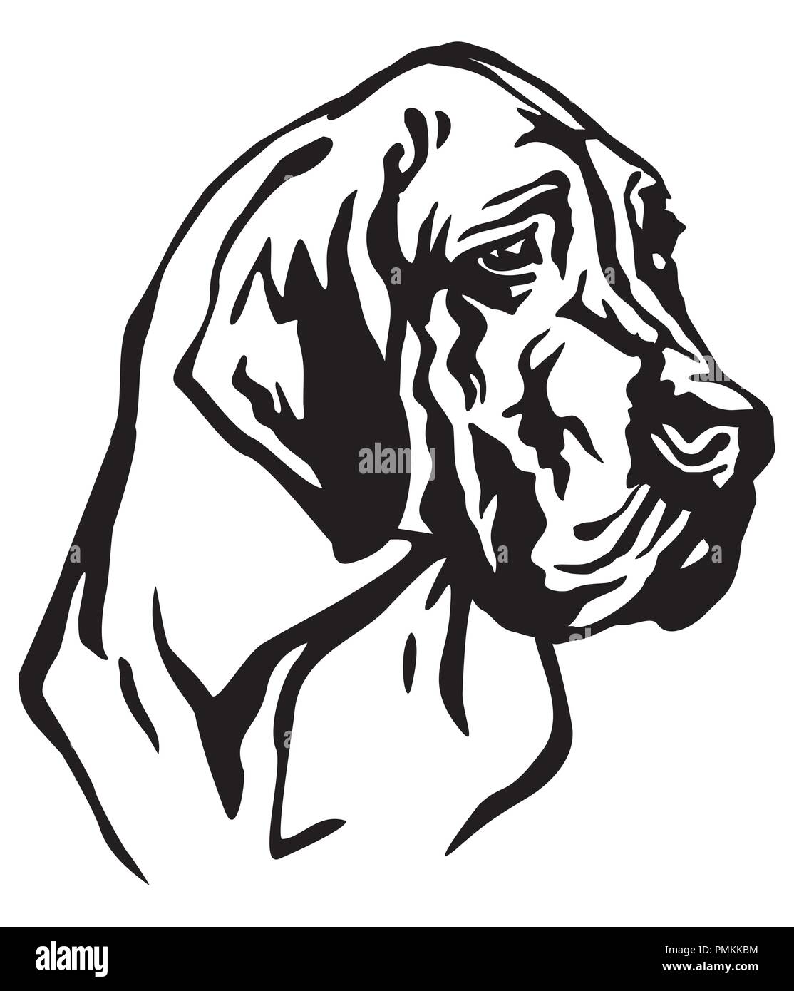 Great dane white Stock Vector Images - Alamy