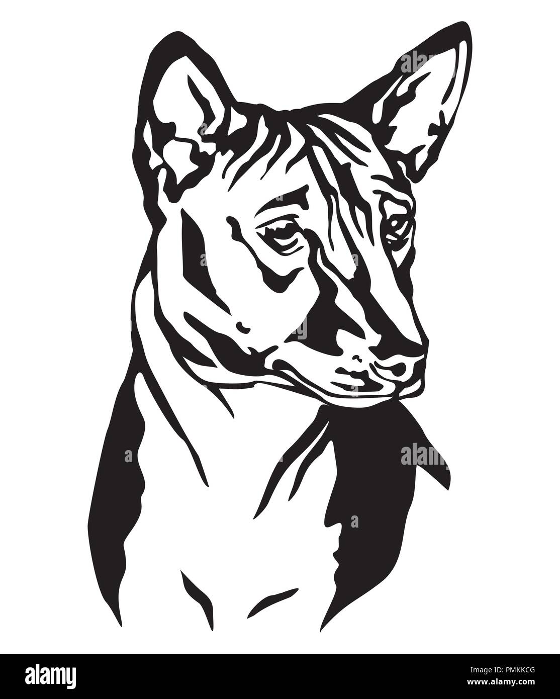 Decorative portrait of dog Basenji, vector isolated illustration in ...