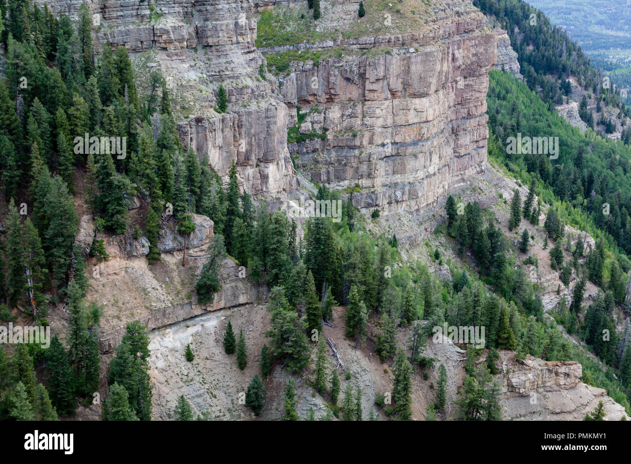 Sedimentary cliff walls are an abundant feature where the Colorado ...