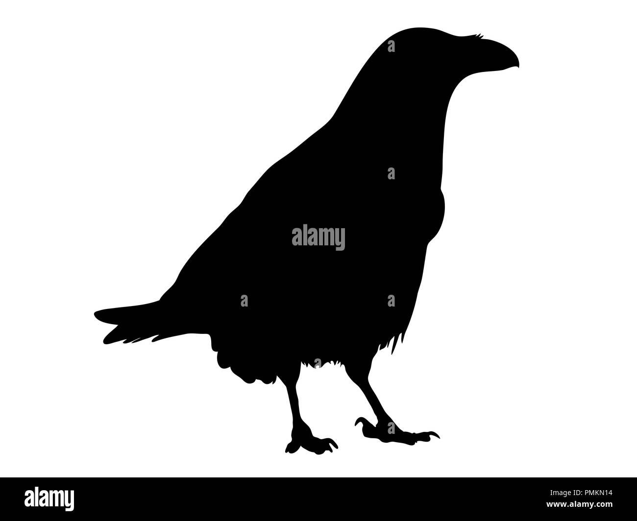 Digitally Handdrawn Silhouette of a crow Stock Photo - Alamy