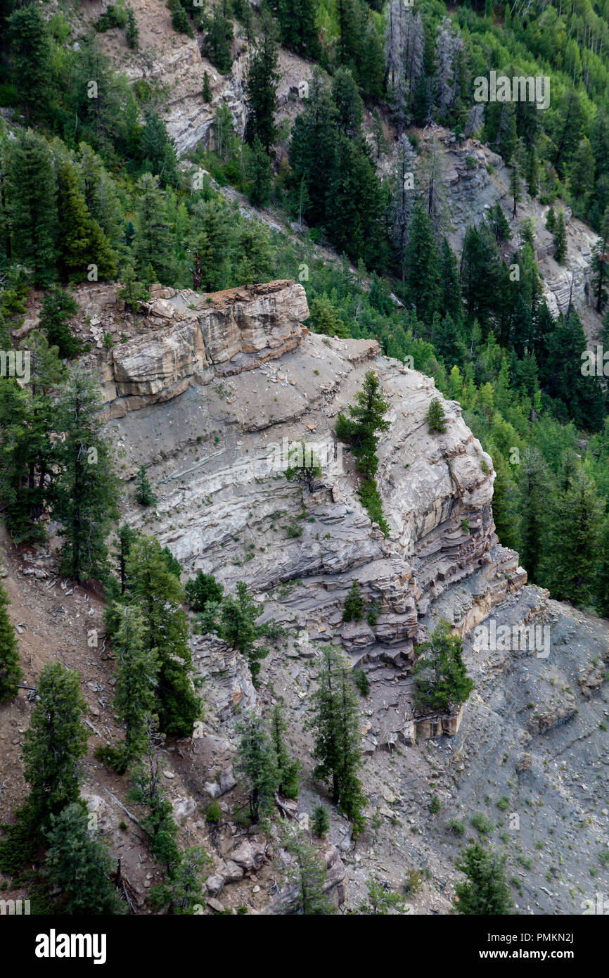 Sedimentary cliff walls are an abundant feature where the Colorado ...
