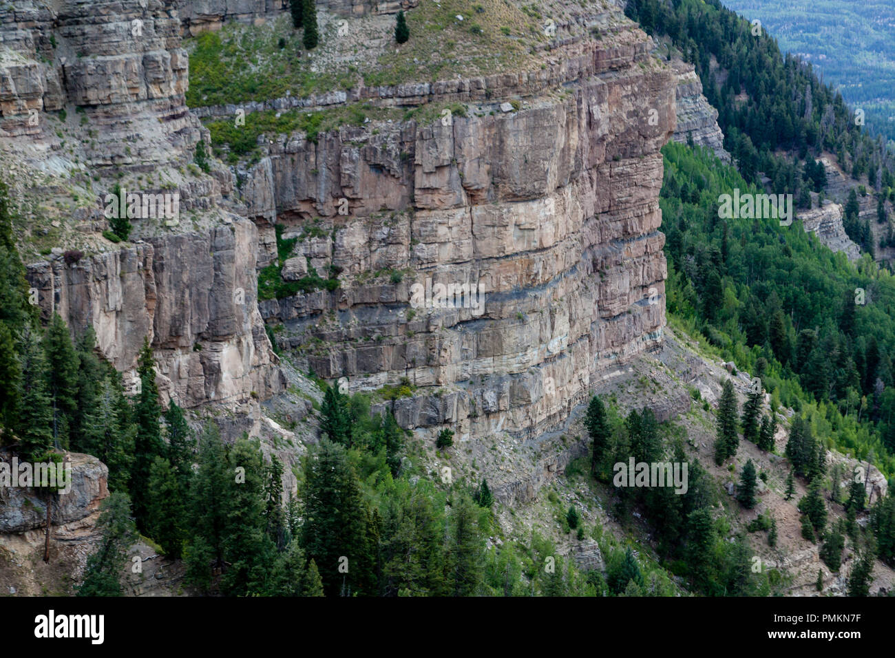 Sedimentary cliff walls are an abundant feature where the Colorado ...