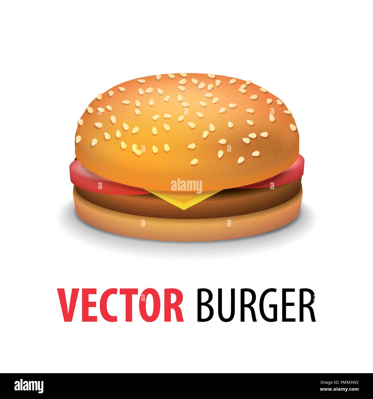 Vector Realistic Cheeseburger - Classic American Burger with Tomato ...