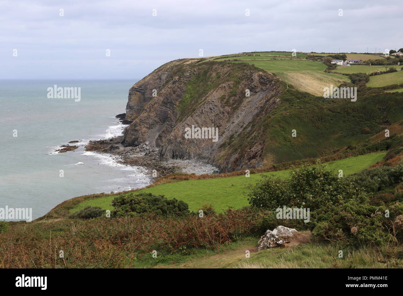 Coast Path at Craig Coubal between New Quay and Cwmtydu, Cardigan Bay ...