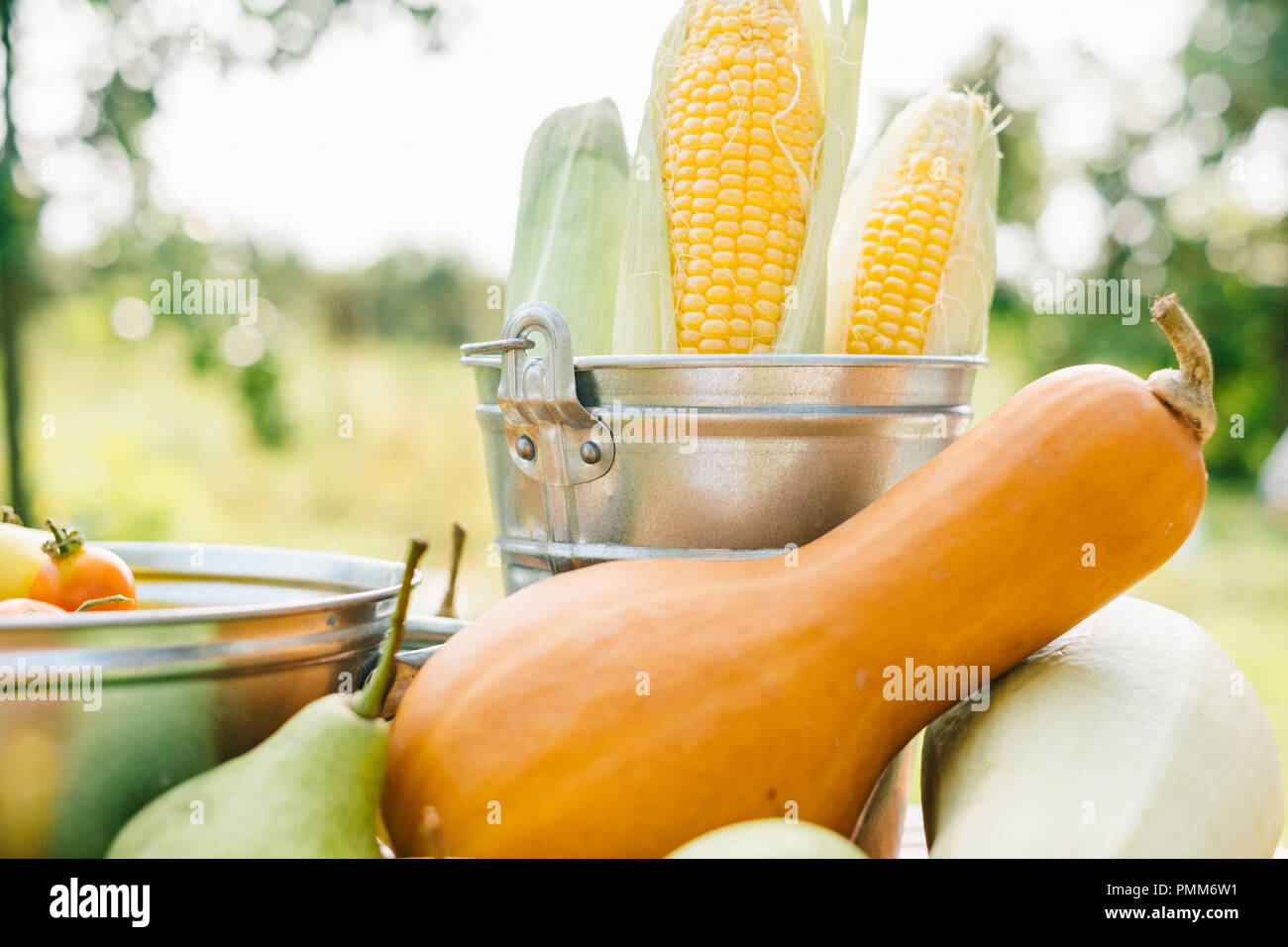 Buckets of fresh tomatoes, corn on the cob, squash and pears Stock ...