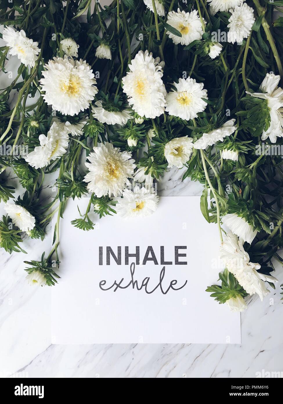 Bunch of flowers with an Inhale Exhale notice Stock Photo - Alamy