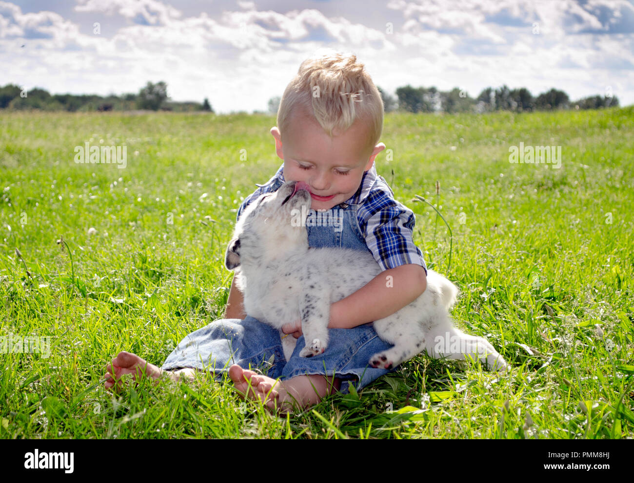 Little boy and sweet puppy kisses Stock Photo - Alamy