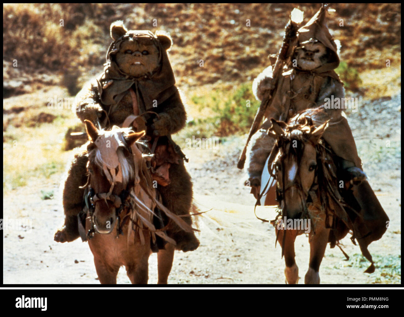 The Ewok Adventure Stock Photos & The Ewok Adventure Stock Images - Alamy