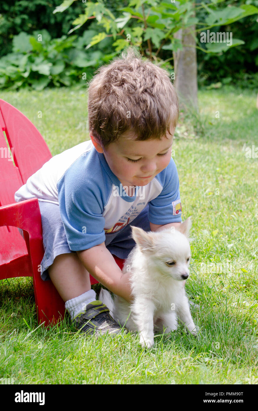 Toddler picking up small dog Stock Photo - Alamy