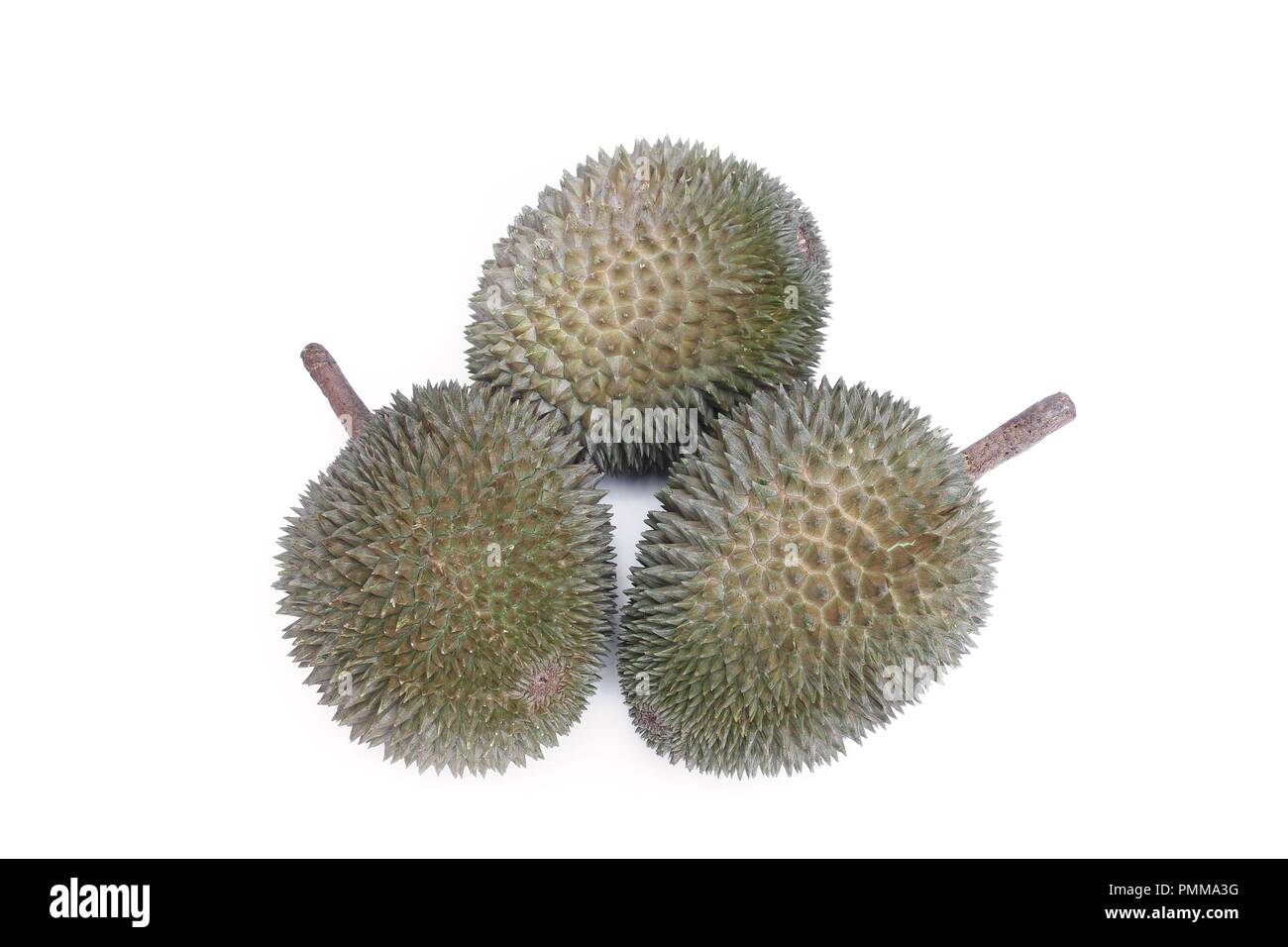 durian with shell, King of fruit on white background Stock Photo - Alamy