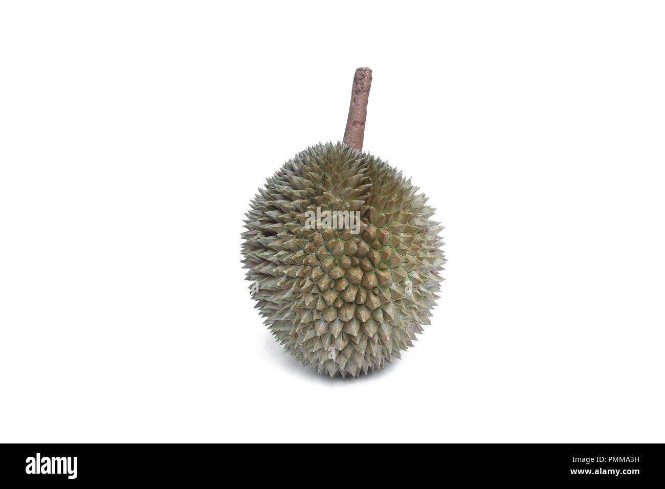 durian with shell, King of fruit on white background Stock Photo - Alamy