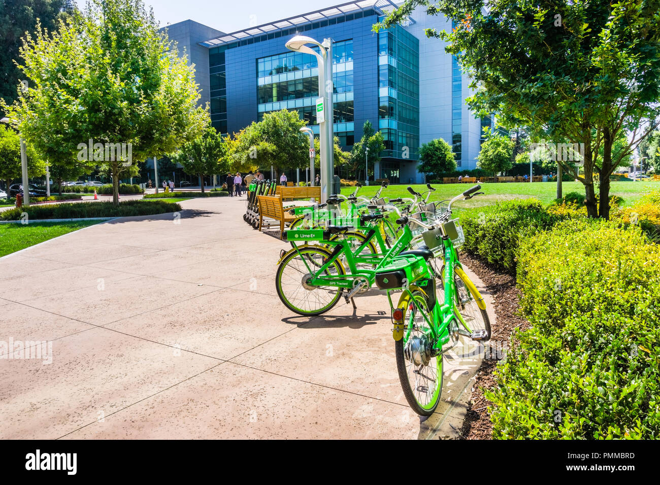Lime cycle hi-res stock photography and images - Alamy