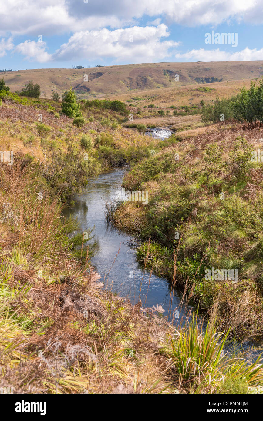 The beautiful Pungwe river seen in Zimbabwe's Nyanga National Park ...