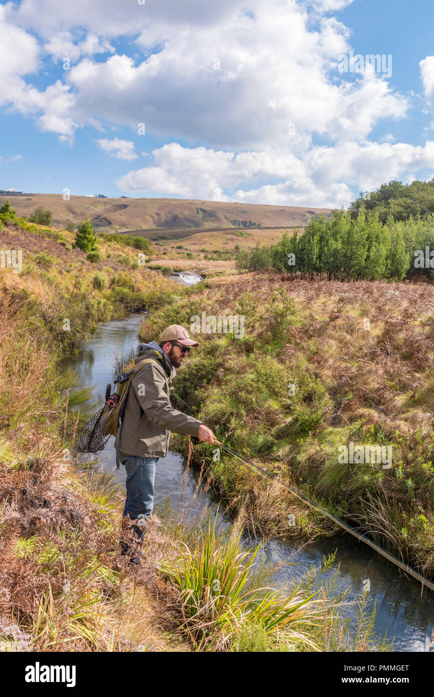 A fly fisherman plies the wild rivers of Nyanga National Park in ...